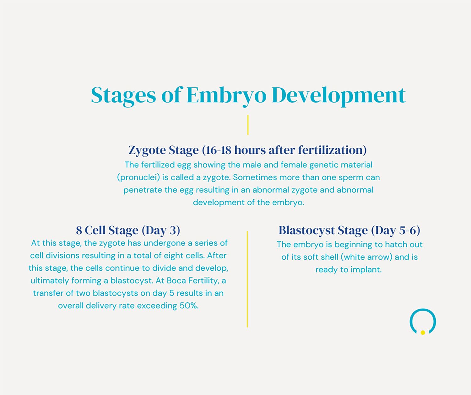 A Comprehensive Overview of the IVF Process | Boca Fertility